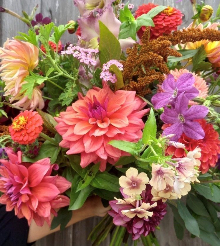 Workshops Archive | Hatton Shopping Village